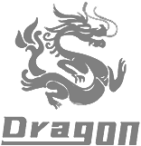 Team Dragon Dota 2, roster, matches, statistics