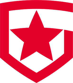 Team Gambit (Gambit Esports) Dota 2, roster, matches, statistics