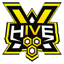 Team HVX (Hive'X Esports) PUBG, roster, matches, statistics