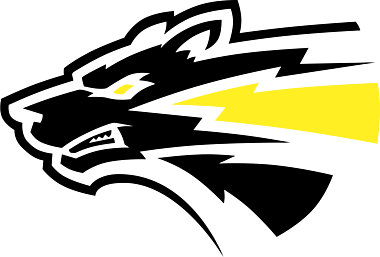 Team SW (Storm Wolves) CS:GO, roster, matches, statistics