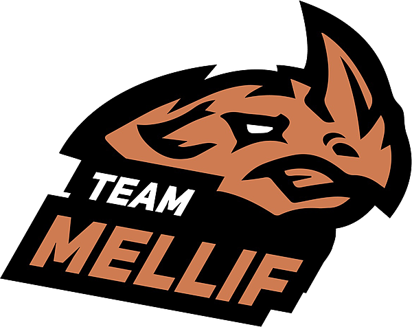 Команда Mellif (Team Mellif) CS:GO, состав, награды, матчи, статистика