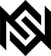 战队 NSN (NeverSayNever Gaming) Counter Strike, 成员,奖项,比赛,数据统计