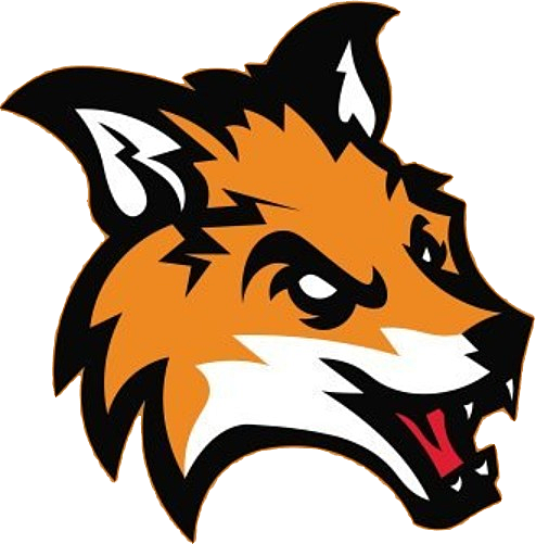 Team GFX (Golden Foxes Gaming) LoL, roster, matches, statistics