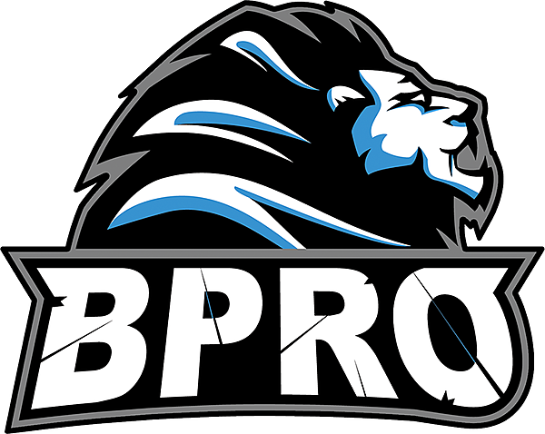 Team Bpro (Bpro Gaming) CS:GO, roster, matches, statistics