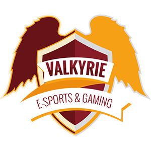 Team Valkyrie (Valkyrie eSports Gaming) Dota 2, roster, matches, statistics
