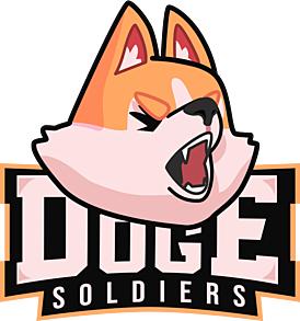 Team DS (Doge Soldiers) CS:GO, roster, matches, statistics