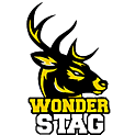 Team ⁠WSEW (Wonder Stag White) LoL, roster, matches, statistics