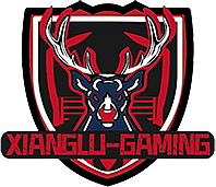 Team XLG (XiangLu Gaming) PUBG, roster, matches, statistics