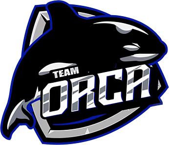 Team Orca (Team Orca) Dota 2, roster, matches, statistics