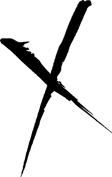 Team X (Team X) CS:GO, roster, matches, statistics