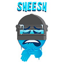 Team SH (SHEESH) PUBG, roster, matches, statistics