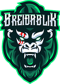 Team BRD (Breiðablik) CS:GO, roster, matches, statistics