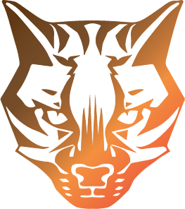 Team OZA (Ocelot Esports ZA) CS:GO, roster, matches, statistics