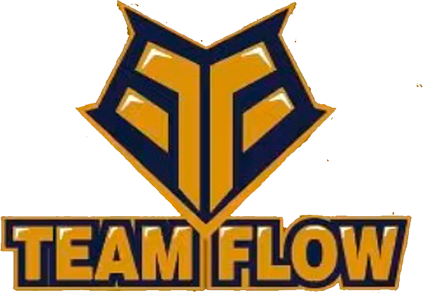 Team Flow (Team Flow) Dota 2, roster, matches, statistics
