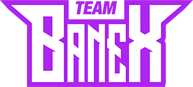 Team BaEx (Bane Existence) CS:GO, roster, matches, statistics