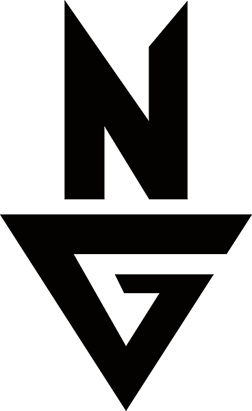 Team N8V (Native Gaming) LoL, roster, matches, statistics