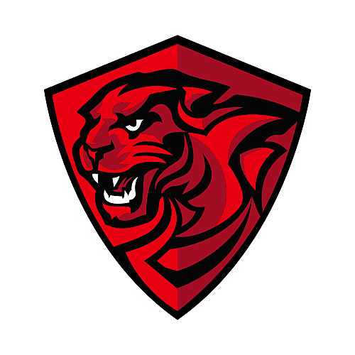 Team CG (Cheetah Gaming) Dota 2, roster, matches, statistics