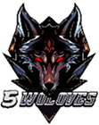 Team 5 Wolves (5 Wolves Esports) CS:GO, roster, matches, statistics