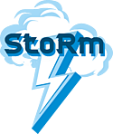 Team StoRm Dota 2, roster, matches, statistics