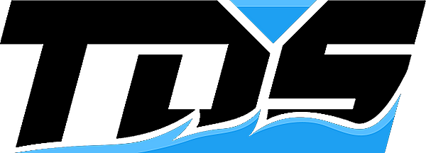 Team TDSP (TDS Pitchounes) LoL, roster, matches, statistics