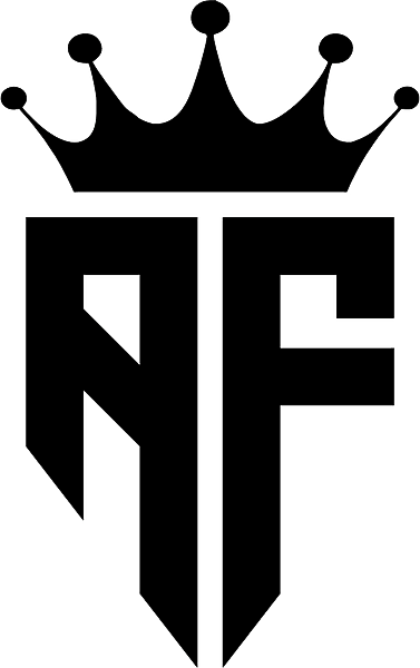 战队 AF (afKING) Counter Strike, 成员,奖项,比赛,数据统计