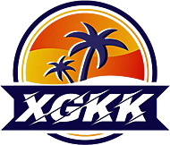 Team XGKK PUBG, roster, matches, statistics