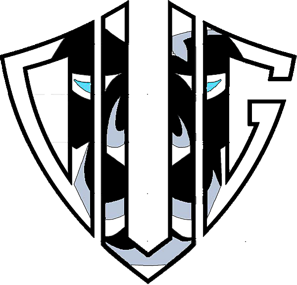 Team OVG CS:GO, roster, matches, statistics