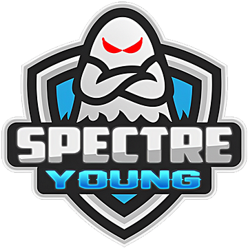 Team SY (SPECTRE YOUNG) PUBG, roster, matches, statistics