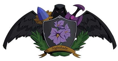 Team NSE (Nightshade Esports) Dota 2, roster, matches, statistics