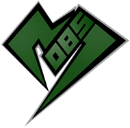 Team Mobs PUBG, roster, matches, statistics