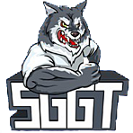 Team SGGT (SayGGTeam) CS:GO, roster, matches, statistics