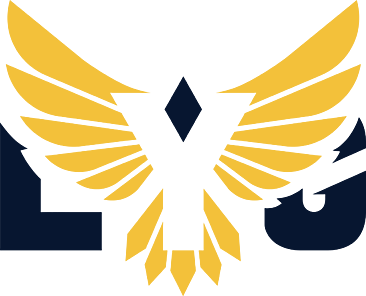 战队 LYG (LYG Gaming) Counter Strike, 成员,奖项,比赛,数据统计