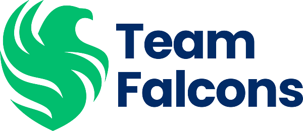 战队 FLC (Team Falcons) Overwatch, 成员,奖项,比赛,数据统计