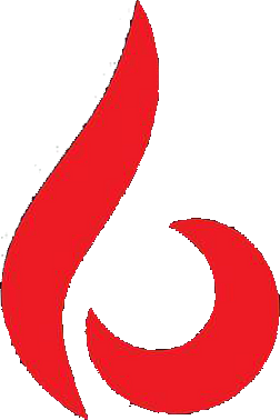 Team Blitz CS:GO, roster, matches, statistics