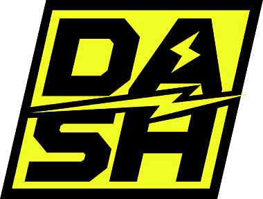 Team DASH CS:GO, roster, matches, statistics