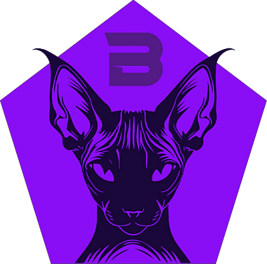 Team BIN (Bingus) Overwatch, roster, matches, statistics