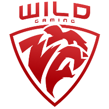 Team WLD (Wild Gaming) PUBG, roster, matches, statistics