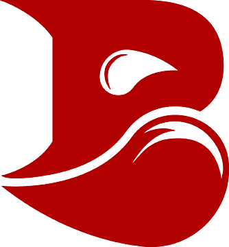 Team BLD (BLEED Esports) PUBG, roster, matches, statistics