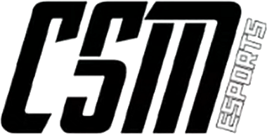 Team CSM (CSM Esports) PUBG, roster, matches, statistics